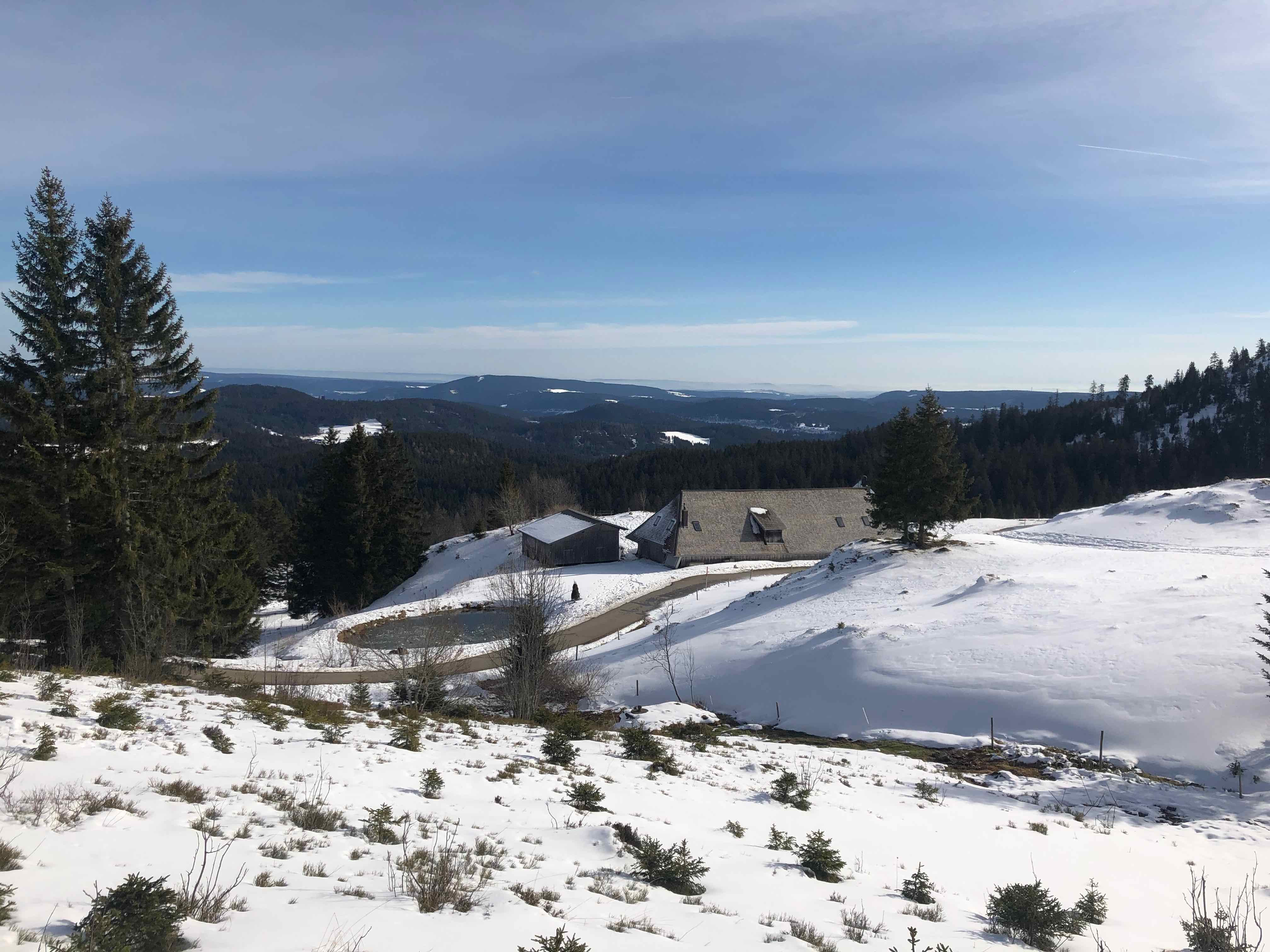 Introducing clj-test-containers, a Testcontainers Wrapper for Clojure