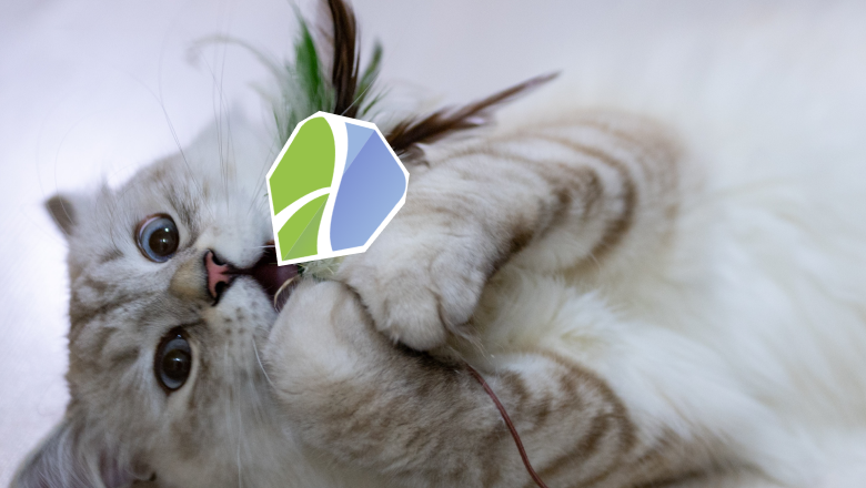 Why Flutter Needs Clojure