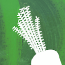 Riverford Organic Farmers Ltd | WorksHub